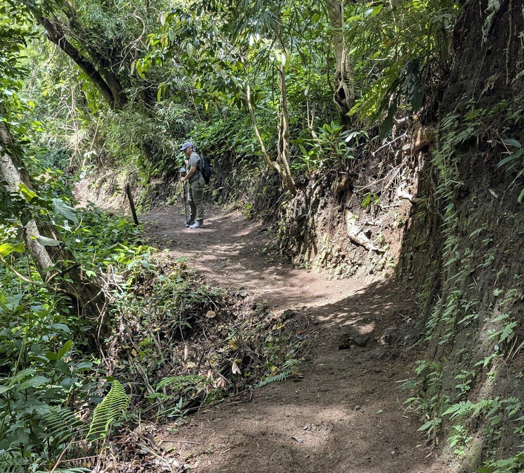 Discover Moasure – Moasure Canada