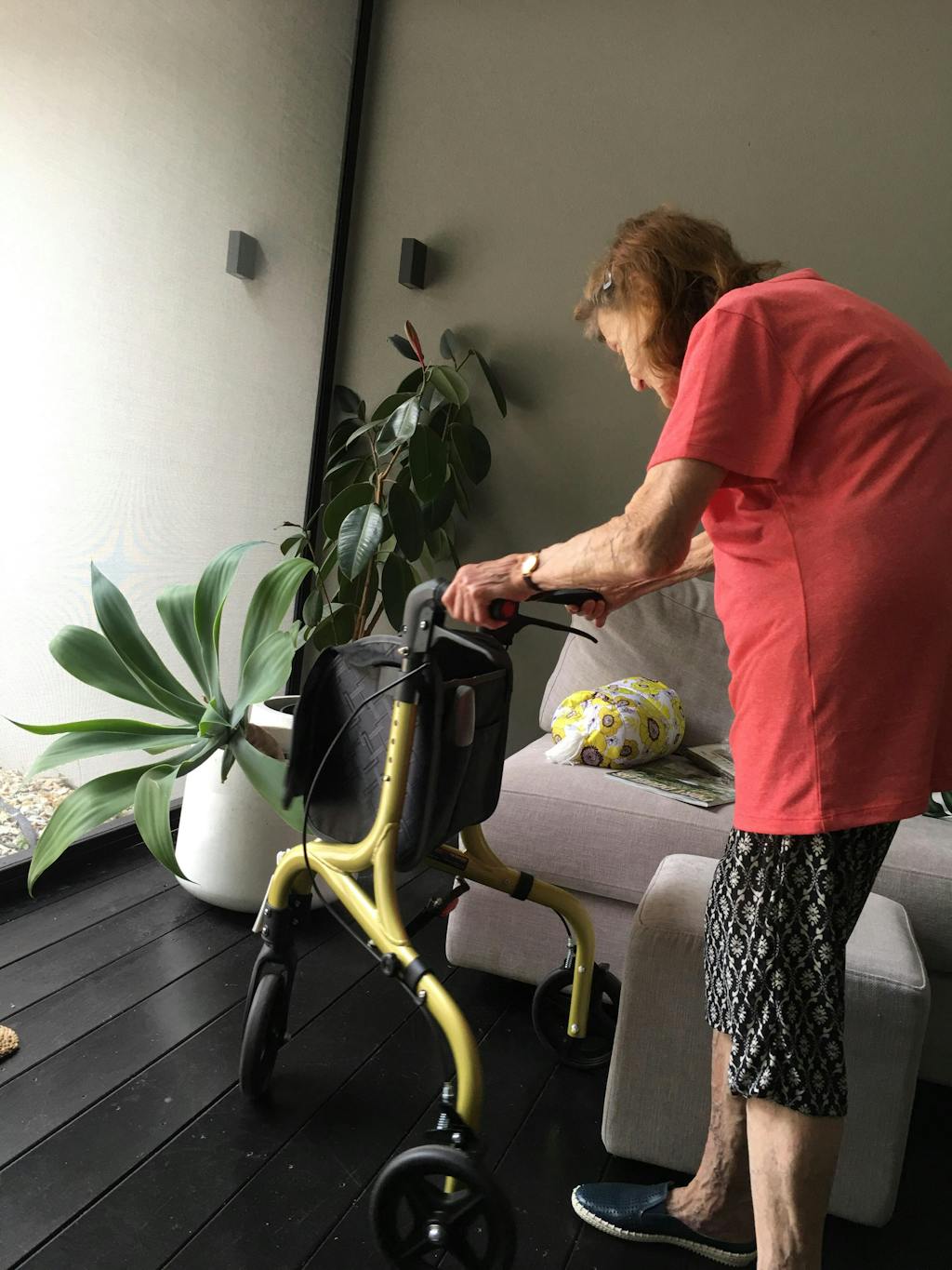 Redgum Lightweight Tri Walker/Rollator - Mobility and Wellness