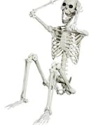 Atlas Moth Cardigan - Majestic Art - Mochipan