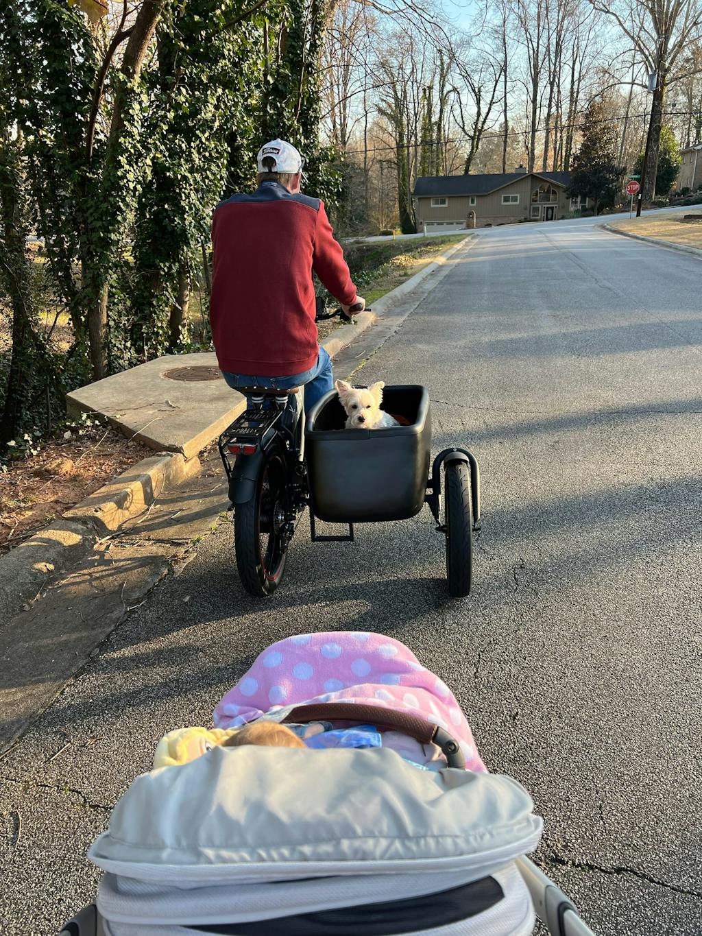 MOD Easy - Electric Bike with Sidecar – MOD BIKES