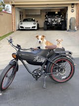 MOD Easy - Electric Bike with Sidecar – MOD BIKES
