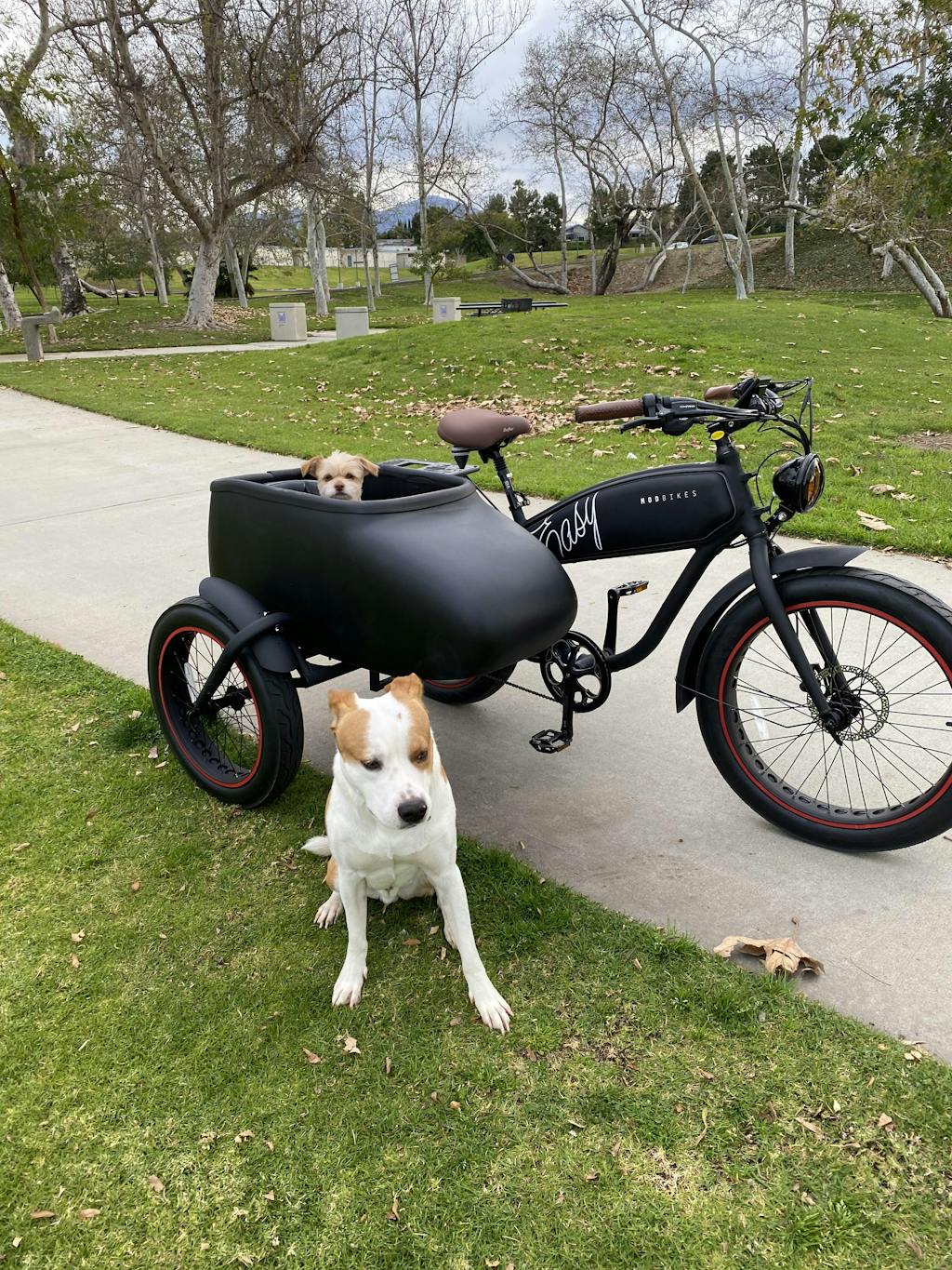 MOD Easy - Electric Bike with Sidecar – MOD BIKES