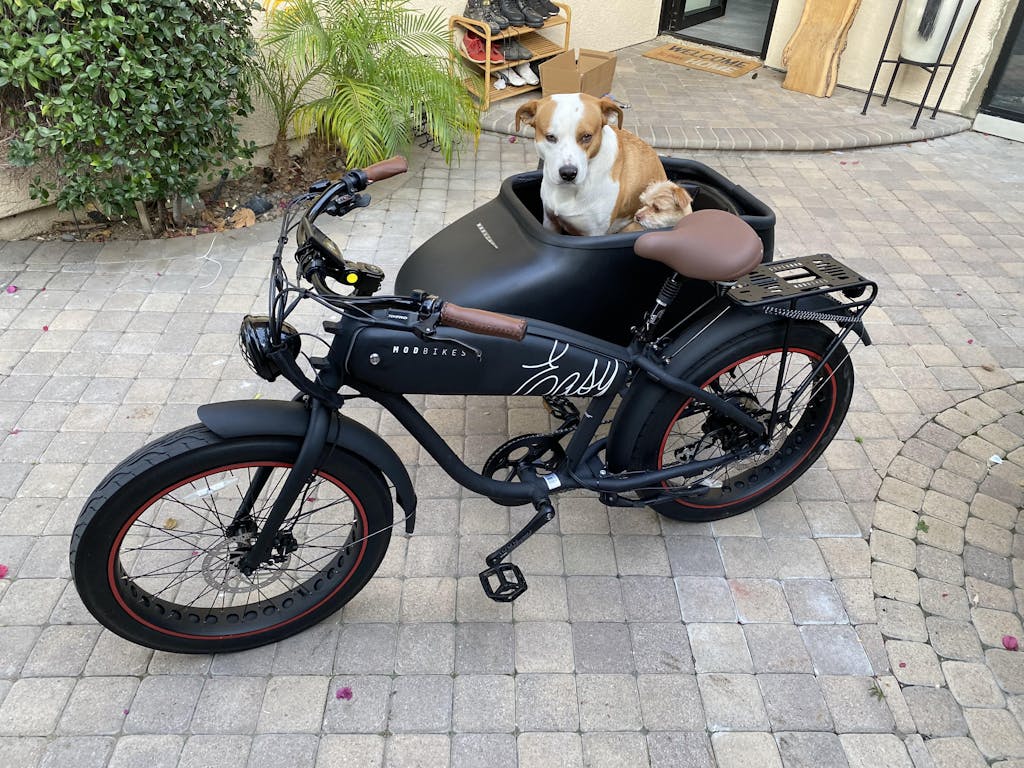 MOD Easy - Electric Bike with Sidecar – MOD BIKES