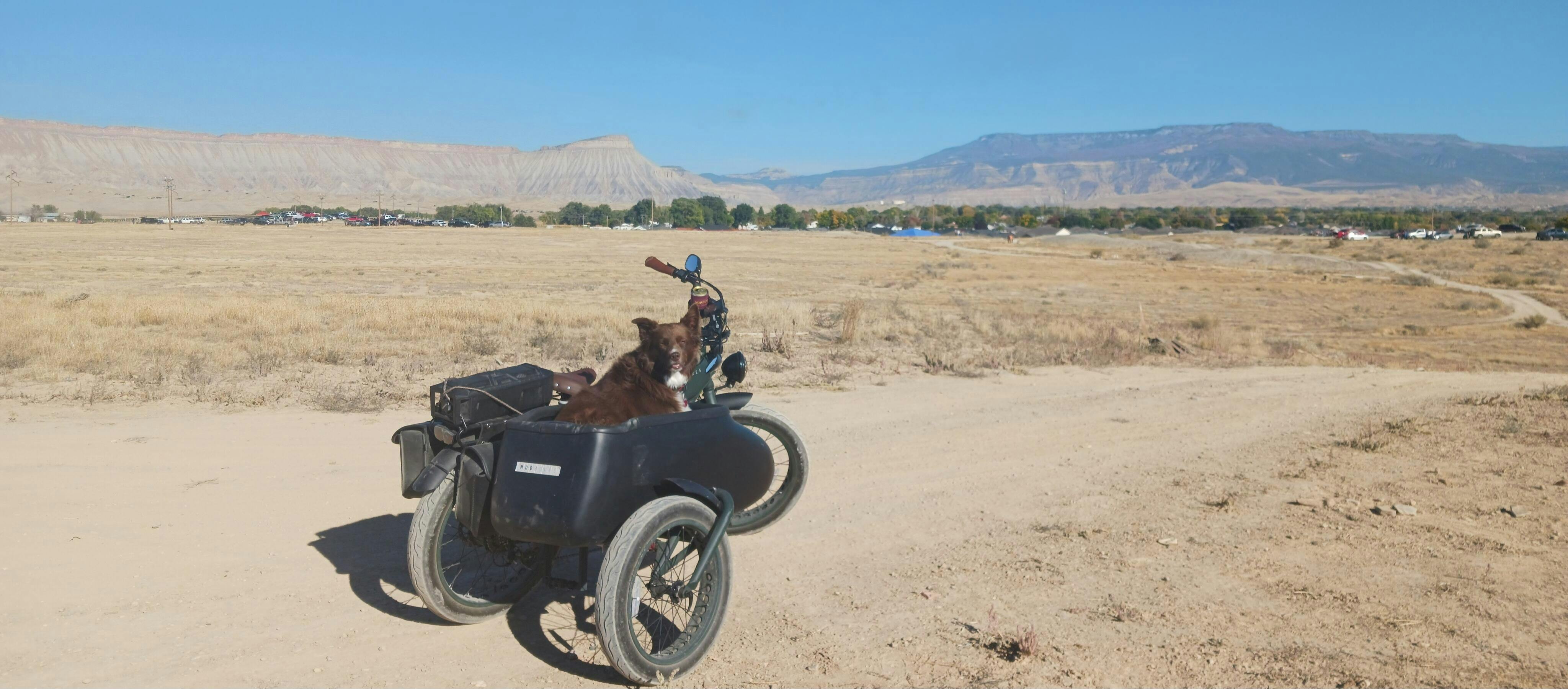 MOD Alert | MOD BIKES