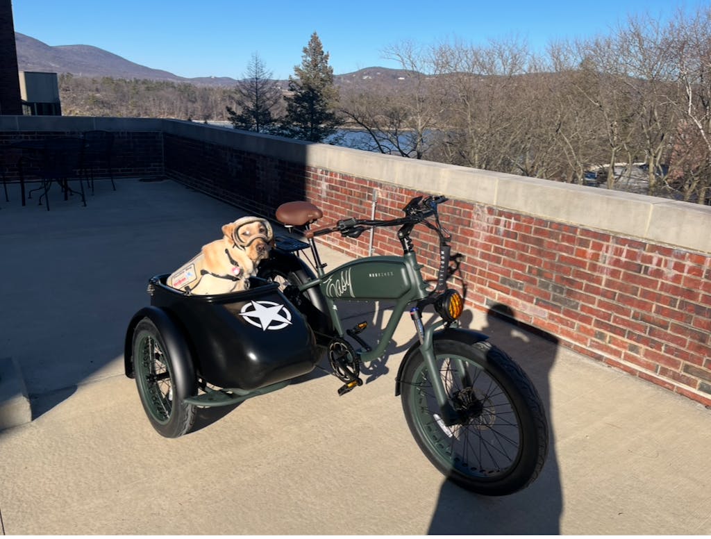 MOD Easy - Electric Bike with Sidecar | MOD BIKES