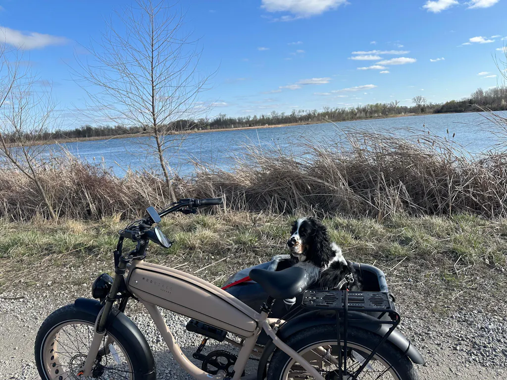 MOD Easy - Electric Bike with Sidecar | MOD BIKES