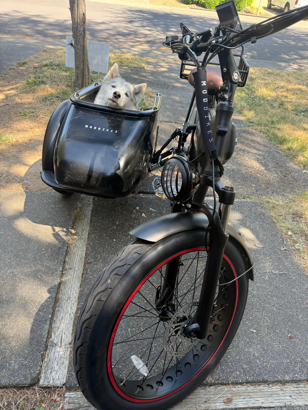 MOD Easy - Electric Bike with Sidecar | MOD BIKES