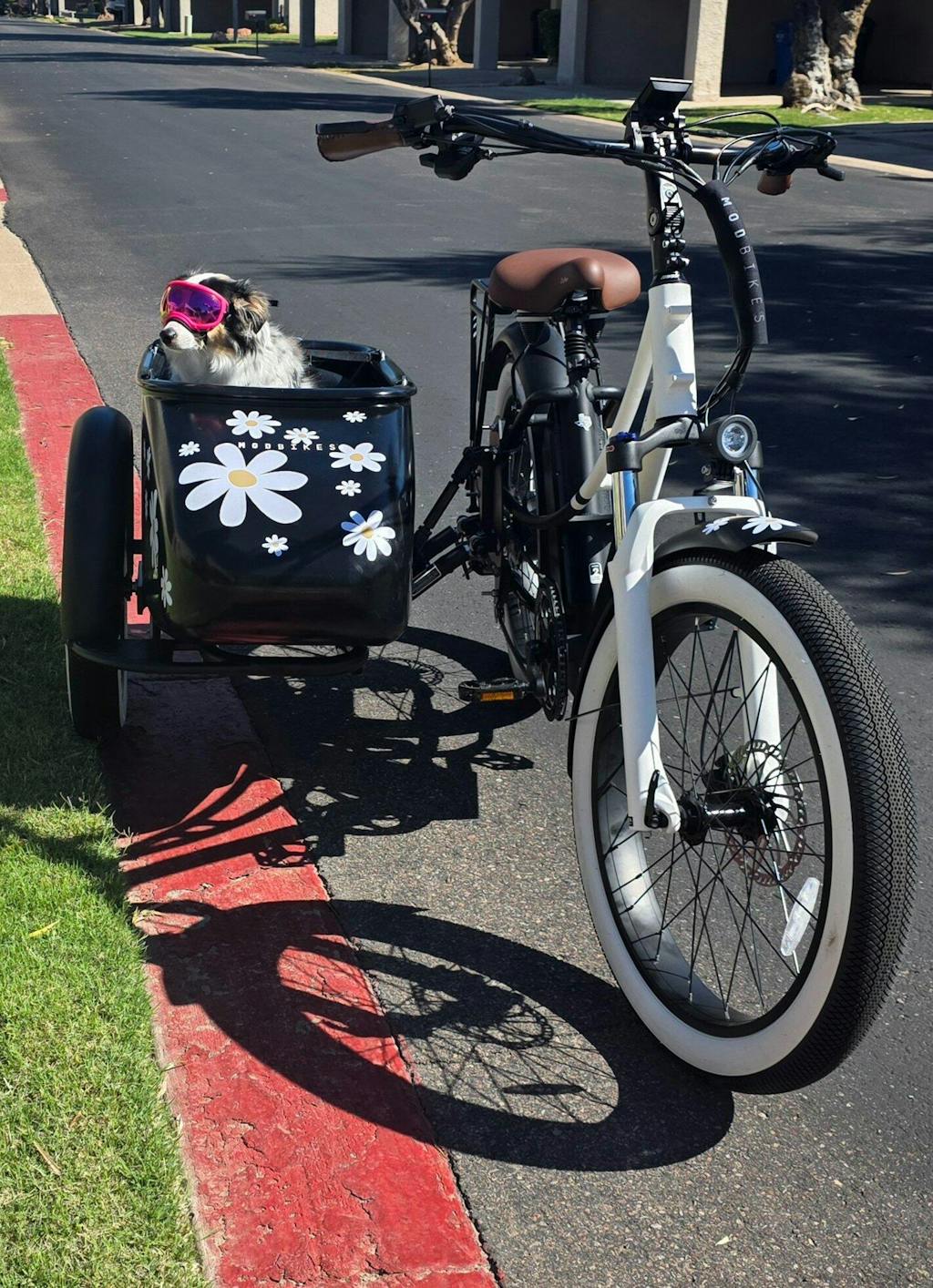 MOD Groove SideCar E-Bike - Ultimate Beach Cruiser | MOD BIKES