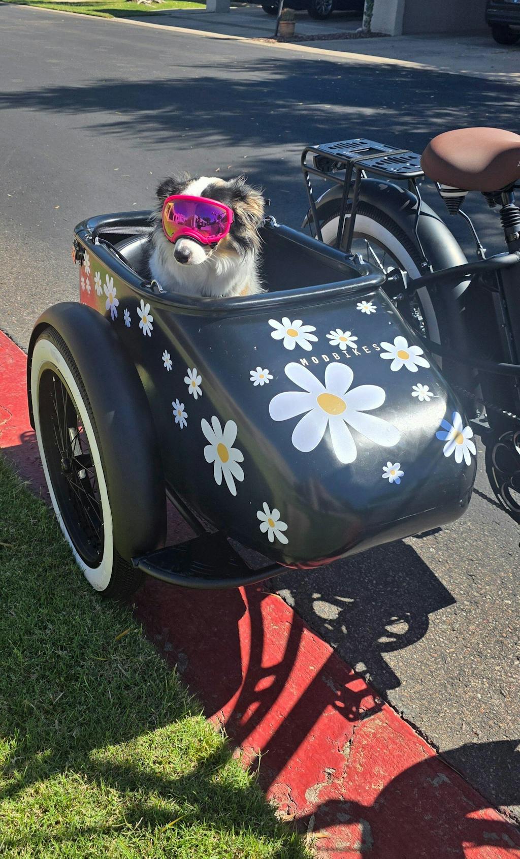 MOD Groove SideCar E-Bike - Ultimate Beach Cruiser | MOD BIKES