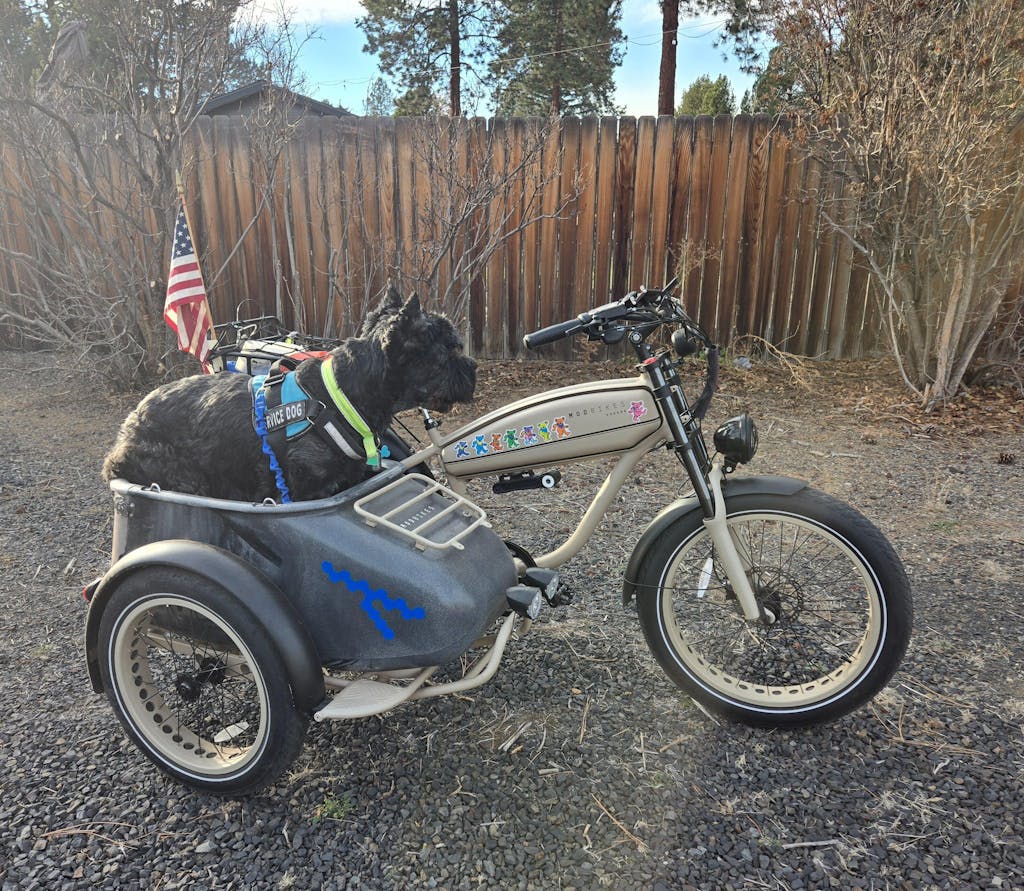 MOD Easy SideCar 3 Fun & Stylish E-Bike Adventure | MOD BIKES