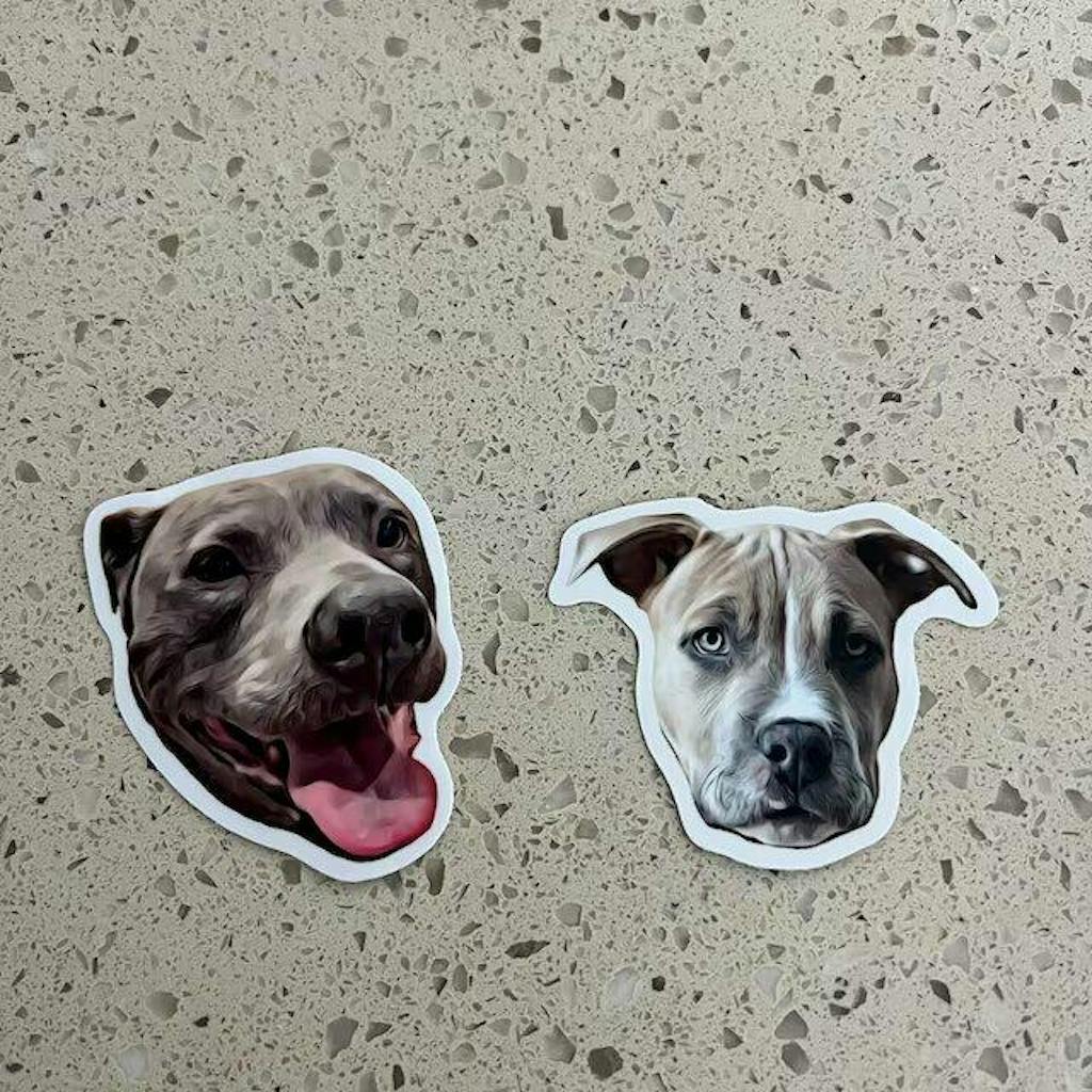 Checkout Mod Paw's Reviews! – Mod Paws