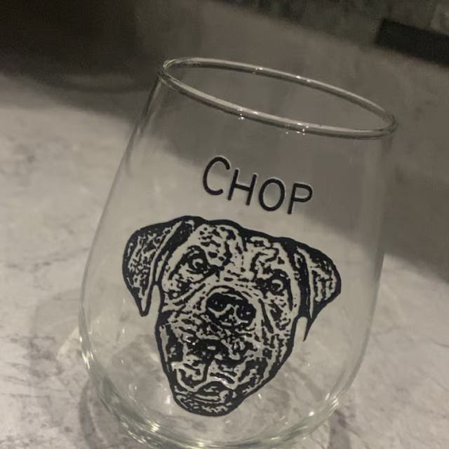 Checkout Mod Paw's Reviews! – Mod Paws