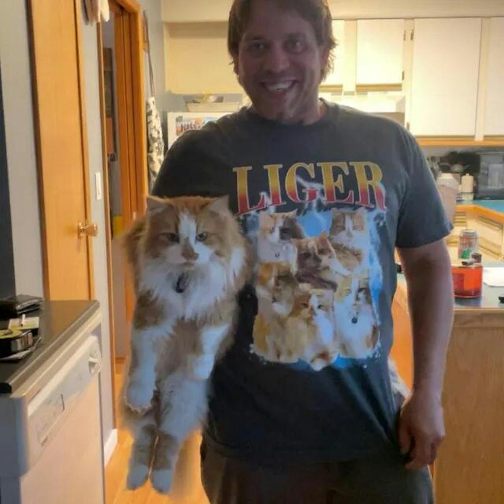 Custom Pet Vintage Shirt Comfort Colors Dog Shirt Cat Personalized ...