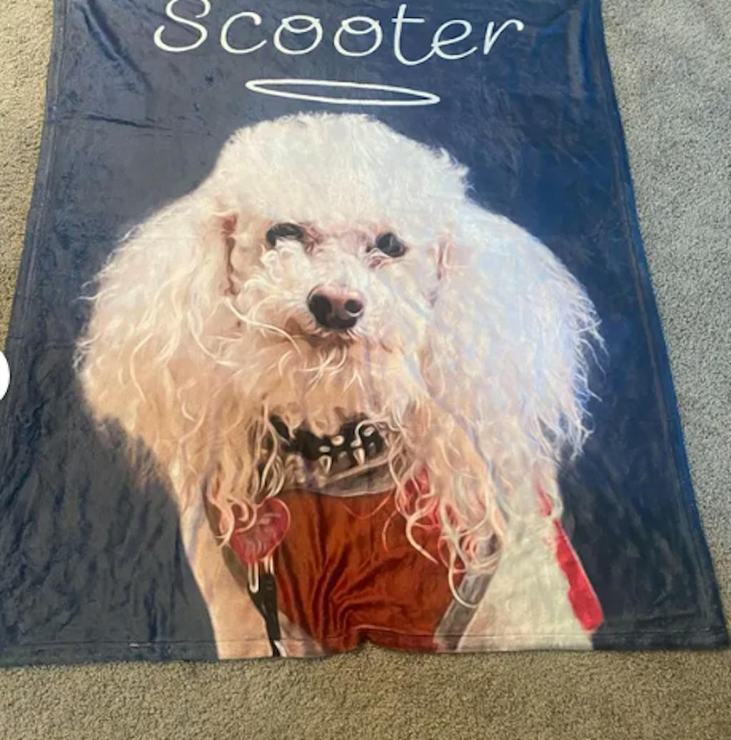 Checkout Mod Paw's Reviews! – Mod Paws