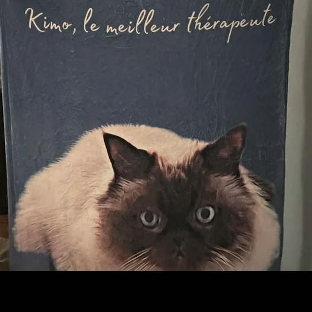 Checkout Mod Paw's Reviews! – Mod Paws