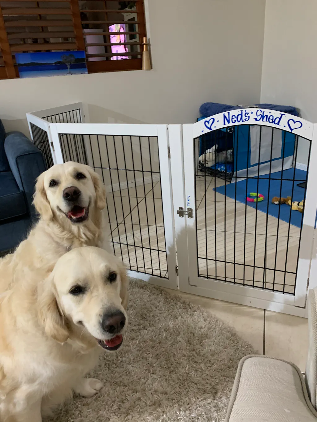 Wooden Dog Pen, Puppy Enclosure & Six Panel Pet Gate - Modern Pets