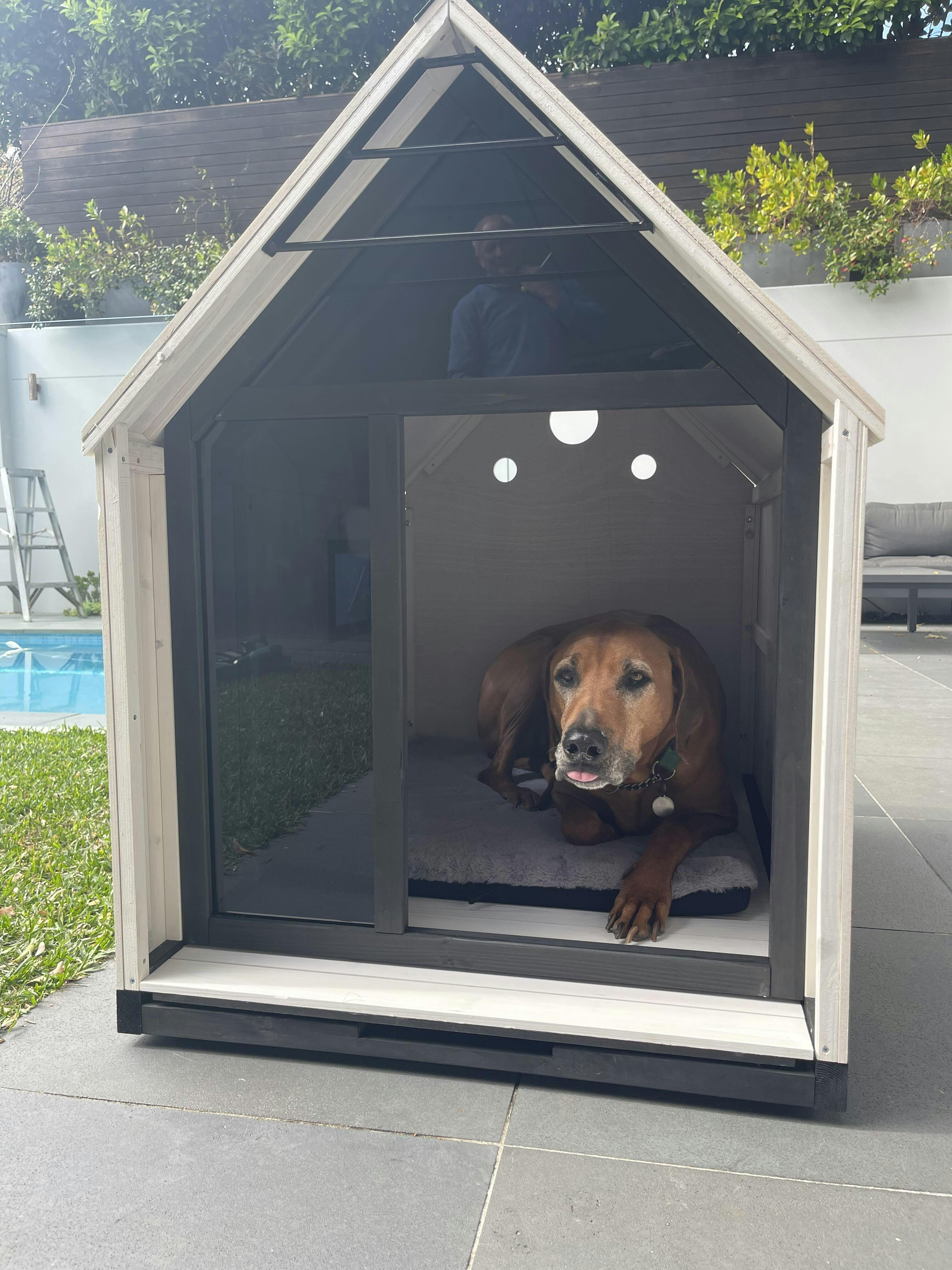 Nordic Modern White Dog House, Timber Dog Kennel - Modern Pets