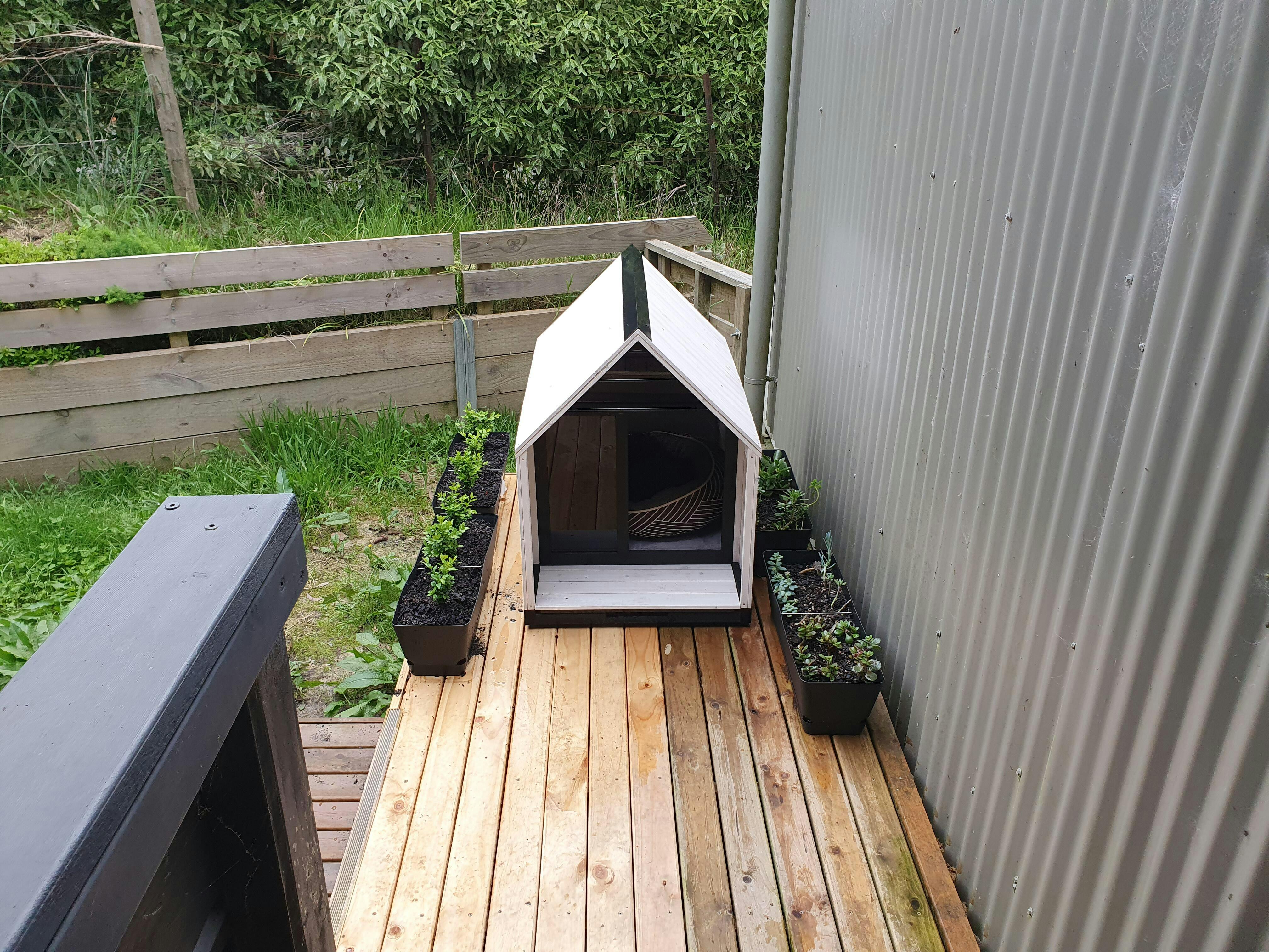 Nordic Modern White Dog House, Timber Dog Kennel - Modern Pets