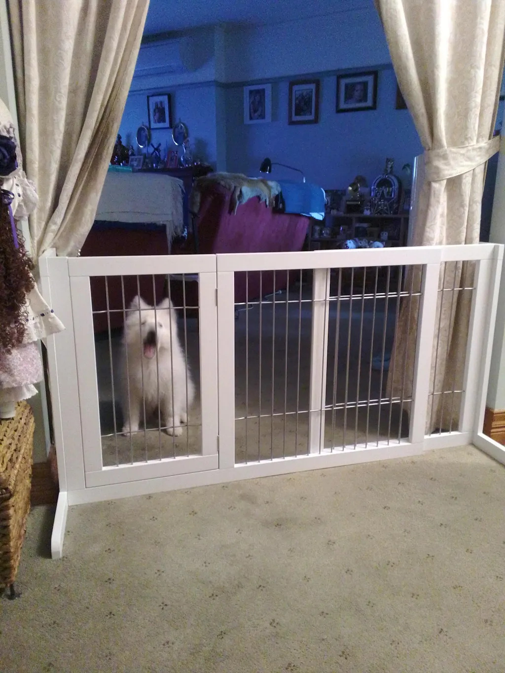 Freestanding Retractable Wooden Dog Barrier with Gate