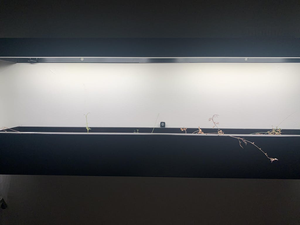 Smart Landscape Growframe