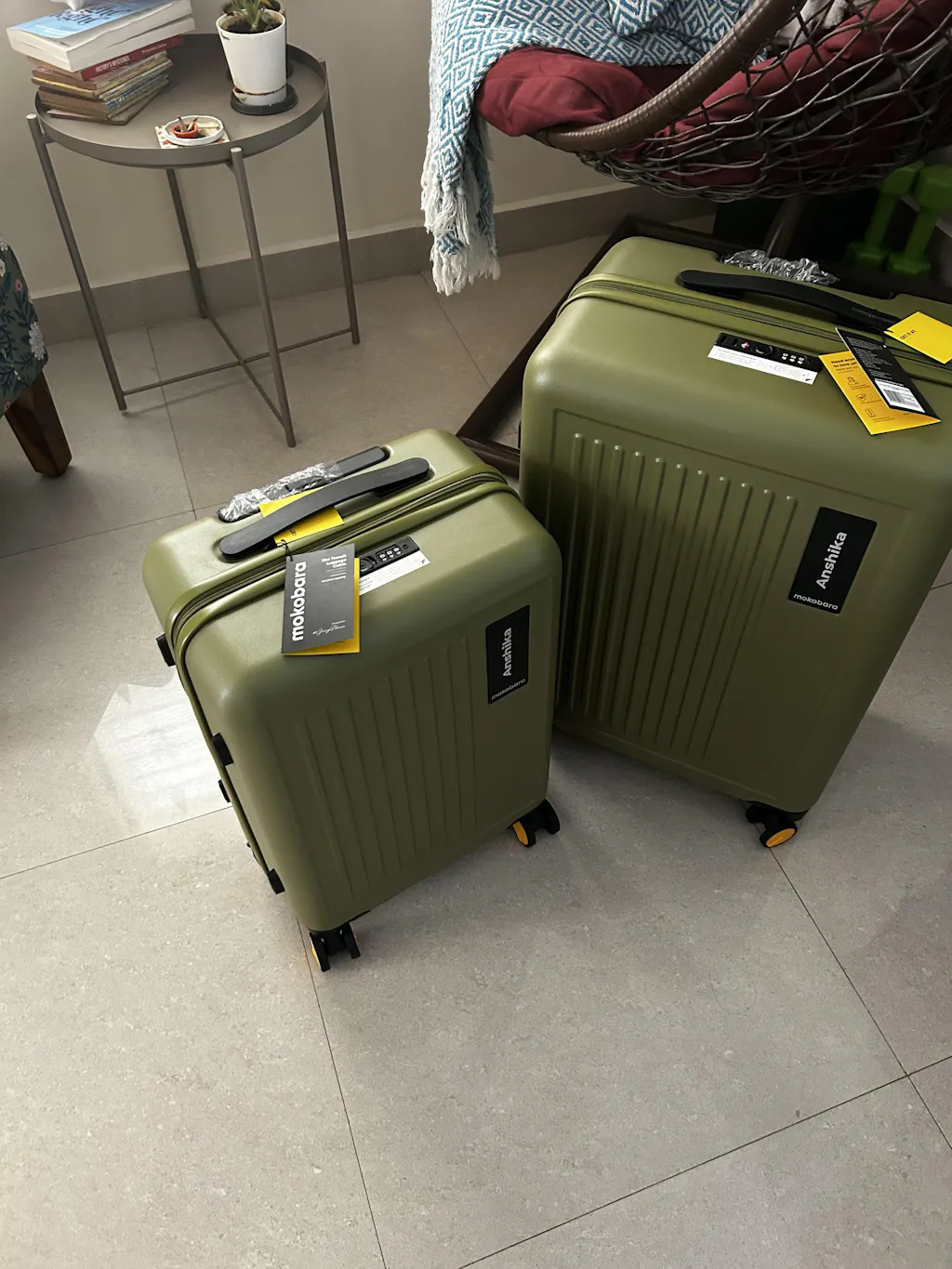 The Transit Luggage - Set of 2