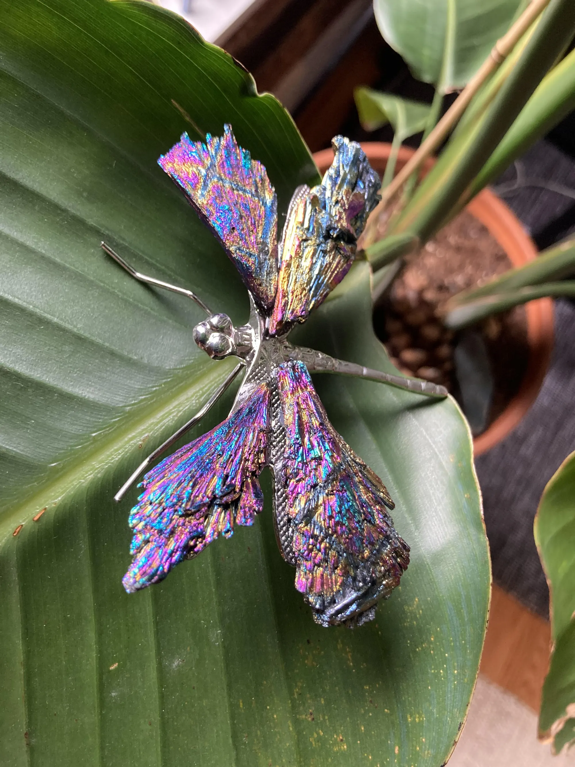 Crystal Destiny | Find Your Perfect Crystal | Shop Now