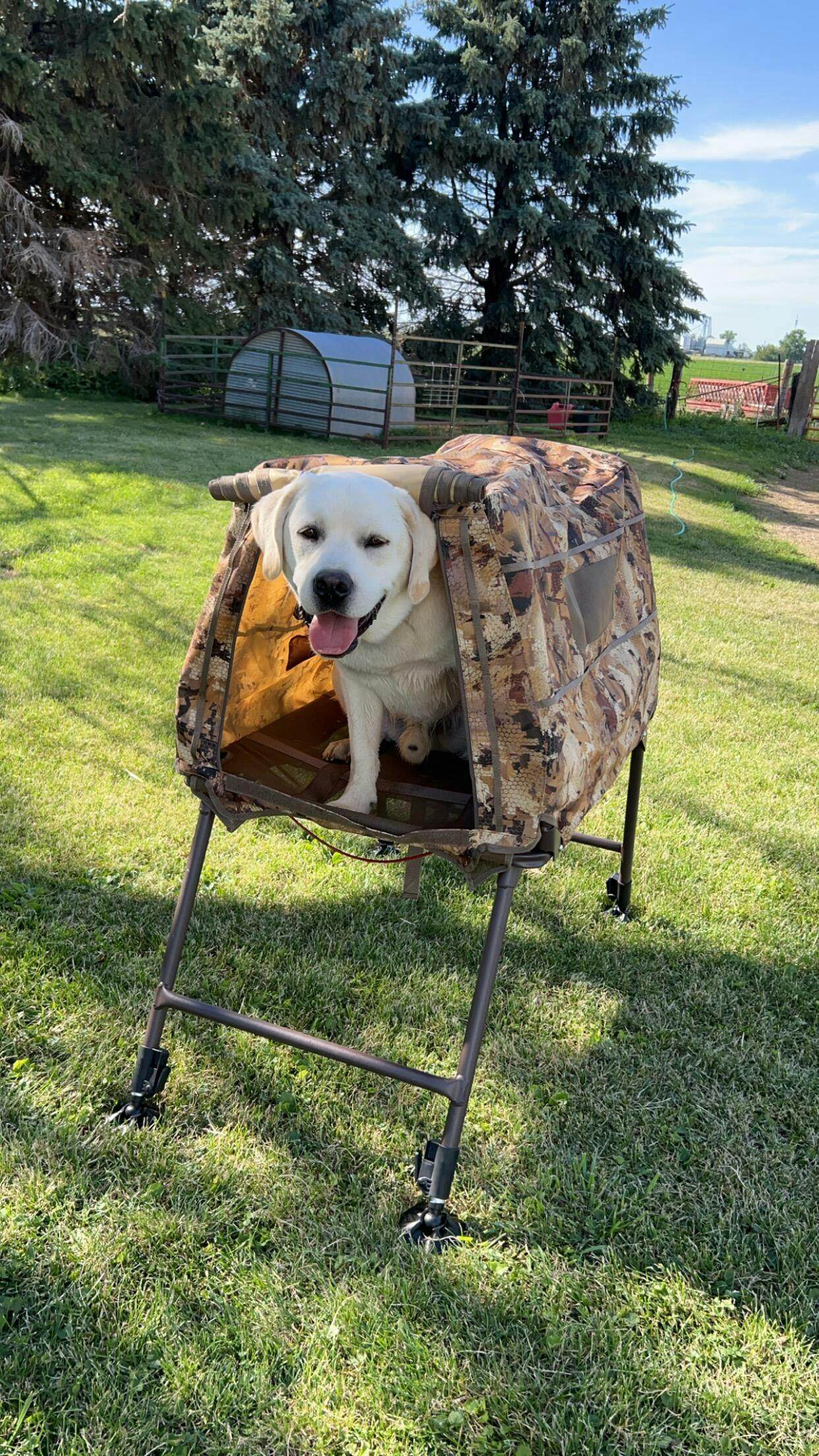 InvisiLab – MOmarsh Inc.