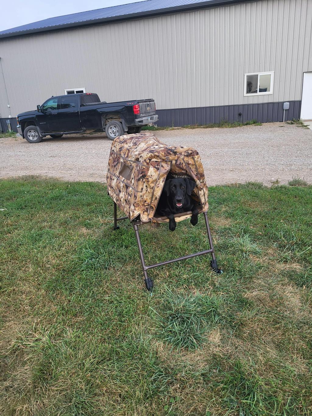 InvisiLab – MOmarsh Inc.