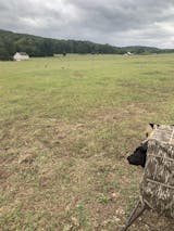 InvisiLab – MOmarsh Inc.