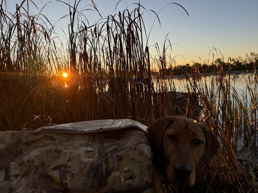 InvisiLab – MOmarsh Inc.