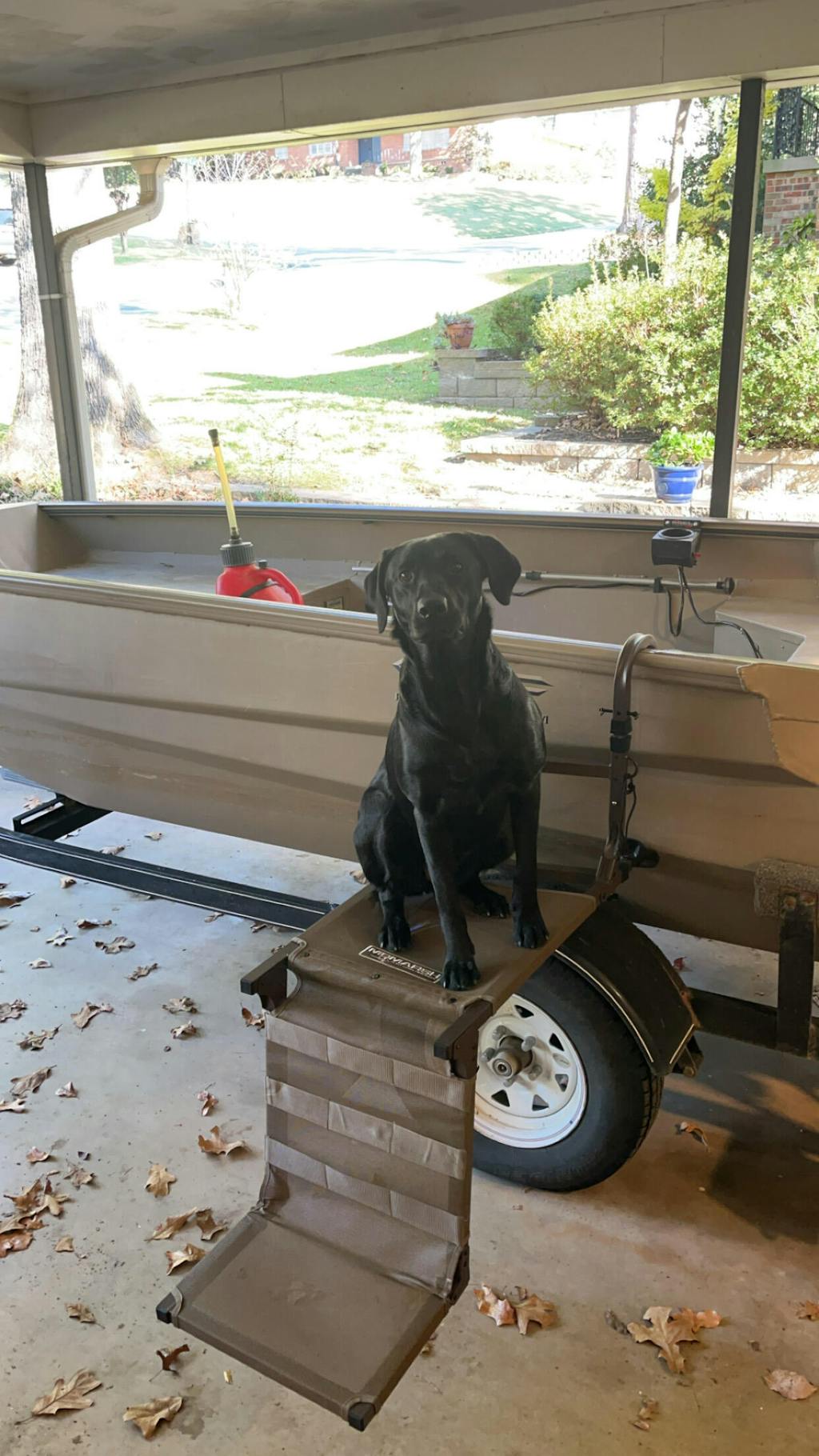 MOmarsh Ramp Stand Dog Ladder – MOmarsh Inc.