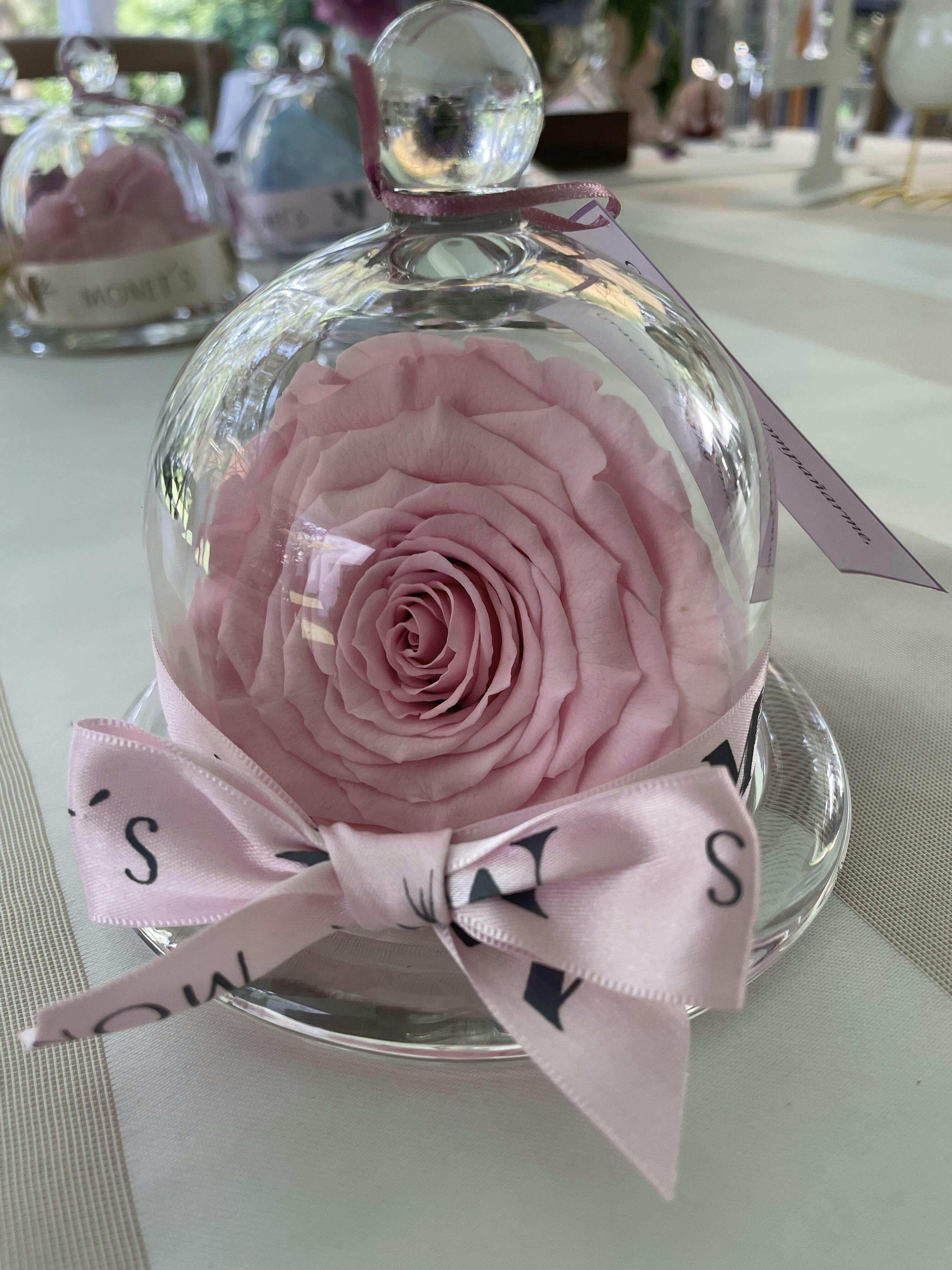 Mini Cinderella: Capelo de cristal con rosa eterna Premium