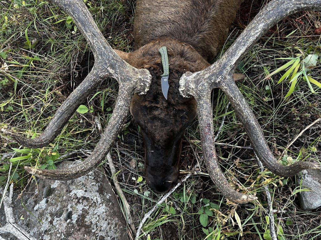 NOCK ON - TRIUMPH HUNTER - GREEN & BLACK