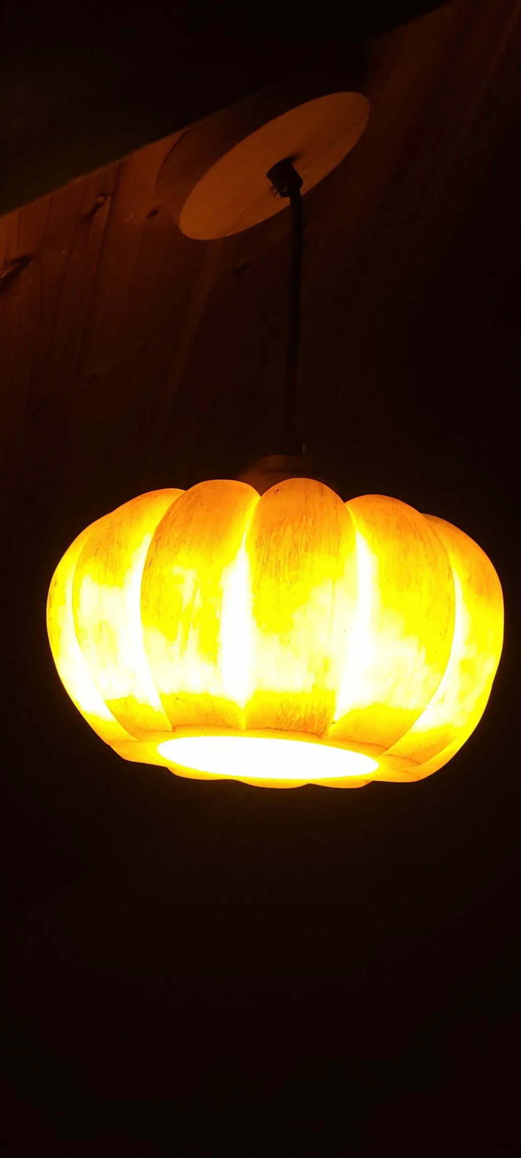 Pumpkin Pendant Light - Mooielight - Pumpkin Pendant Light