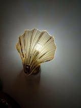 Unique shell-shaped wall light - Mooielight - Unique shell-shaped wall ...