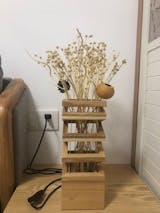 Creative Spring Table Lamp - Mooielight