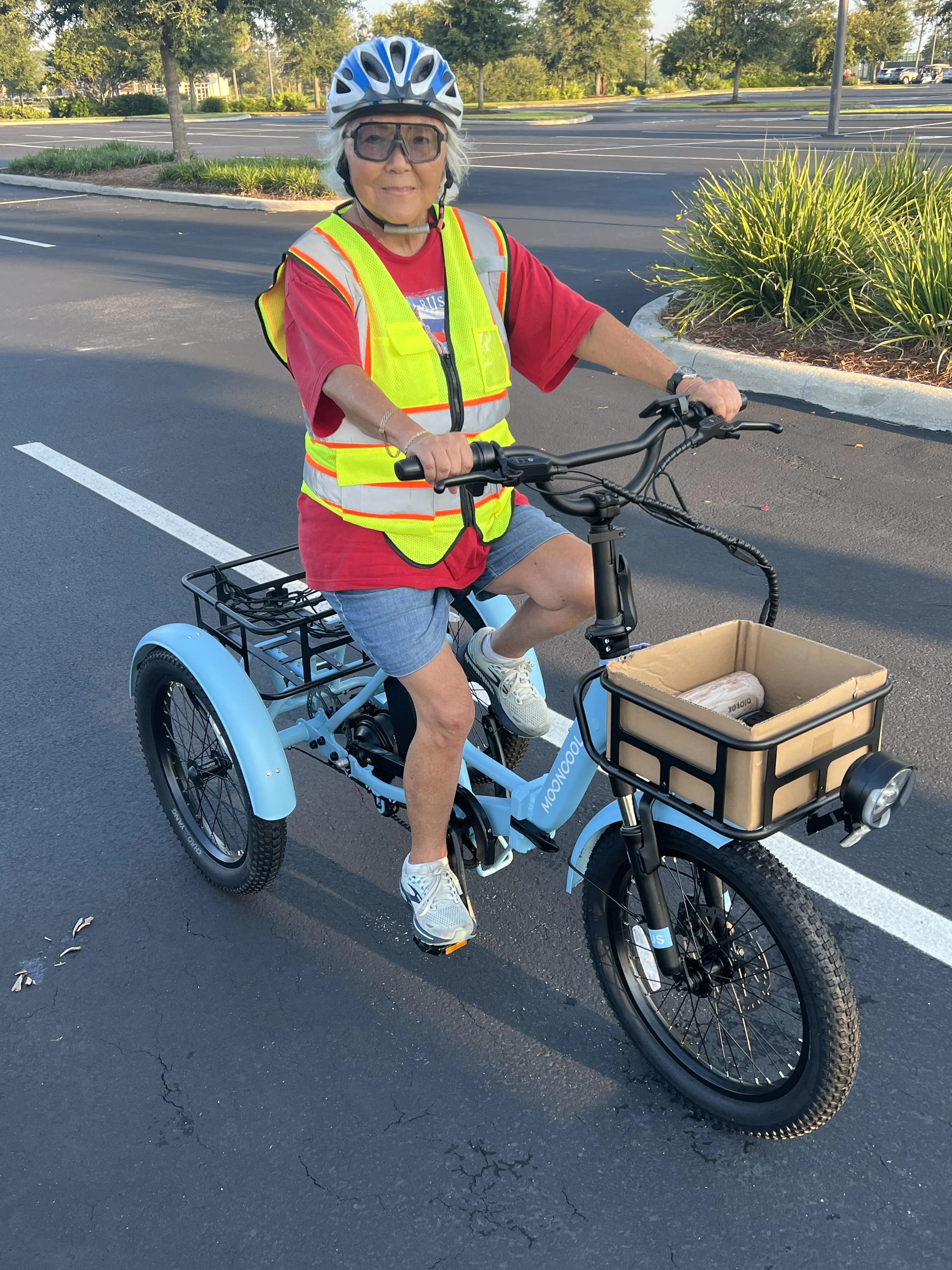Safe & Sustainable TK1 Folding Electric Trike | Comfortable, Stable ...