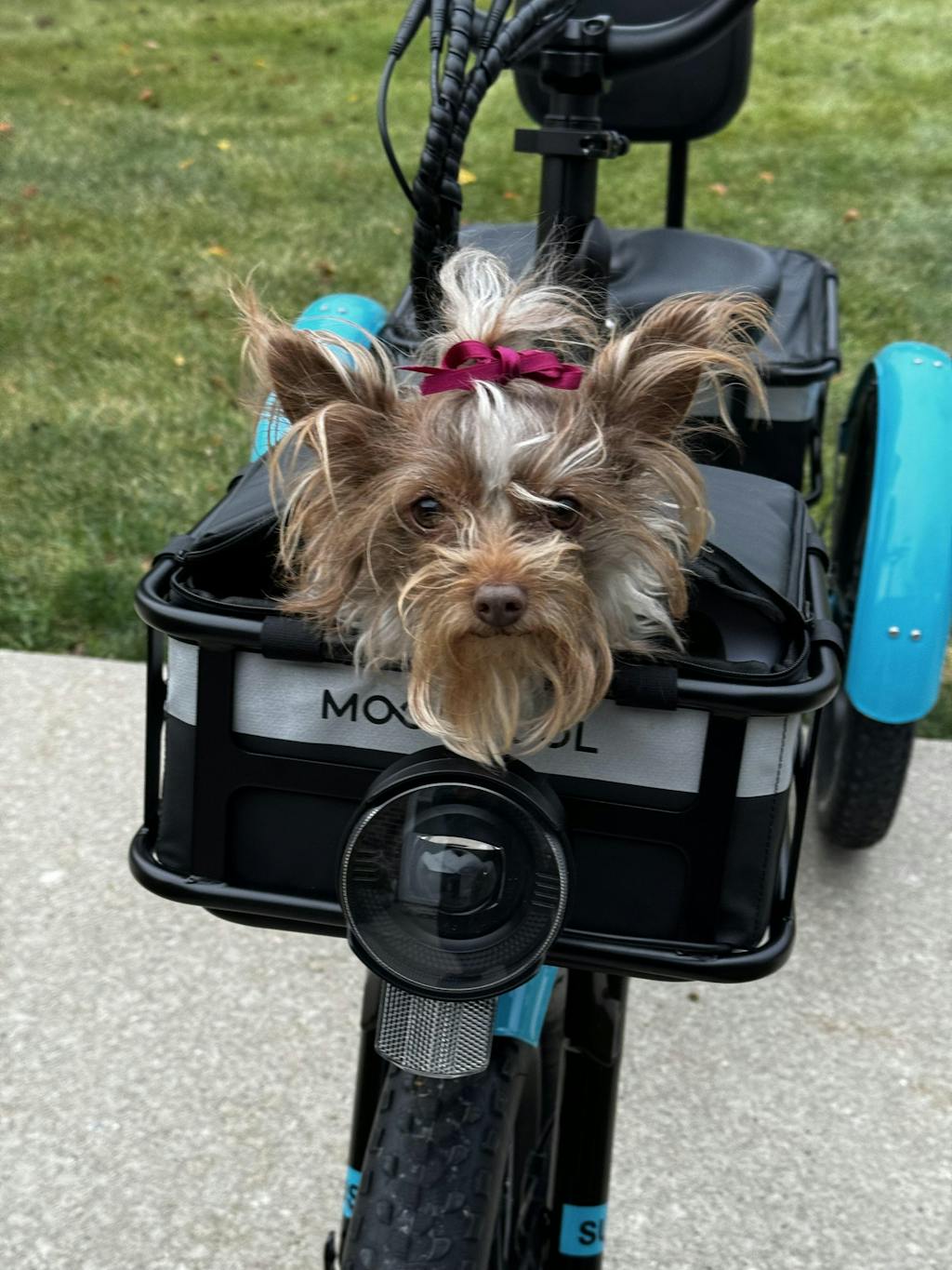 TK Pro Electric Tricycle | Safer, Powerful, Foldable Electric Trike ...