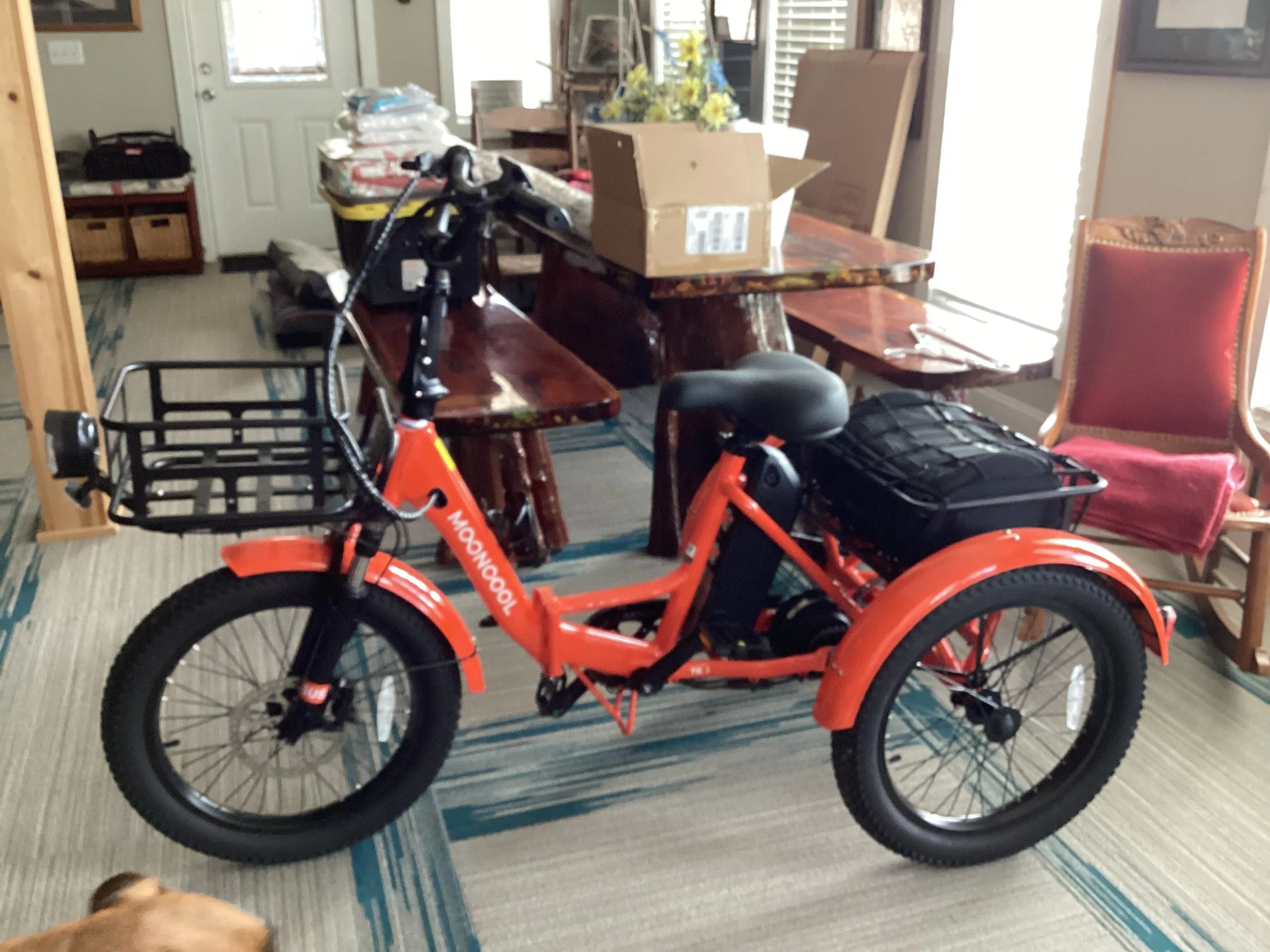 Safe & Sustainable TK1 Folding Electric Trike | Comfortable, Stable ...