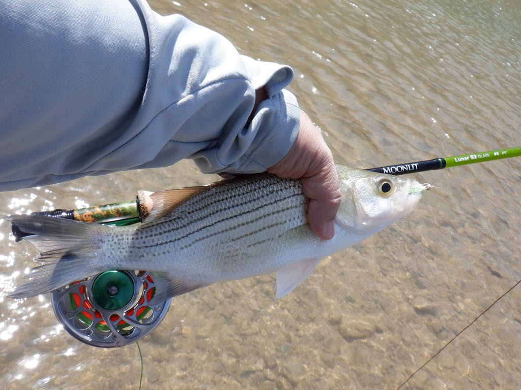 Moonlit Lunar S2-GLASS Fiberglass Fly Rod | Moonlit Fly Fishing