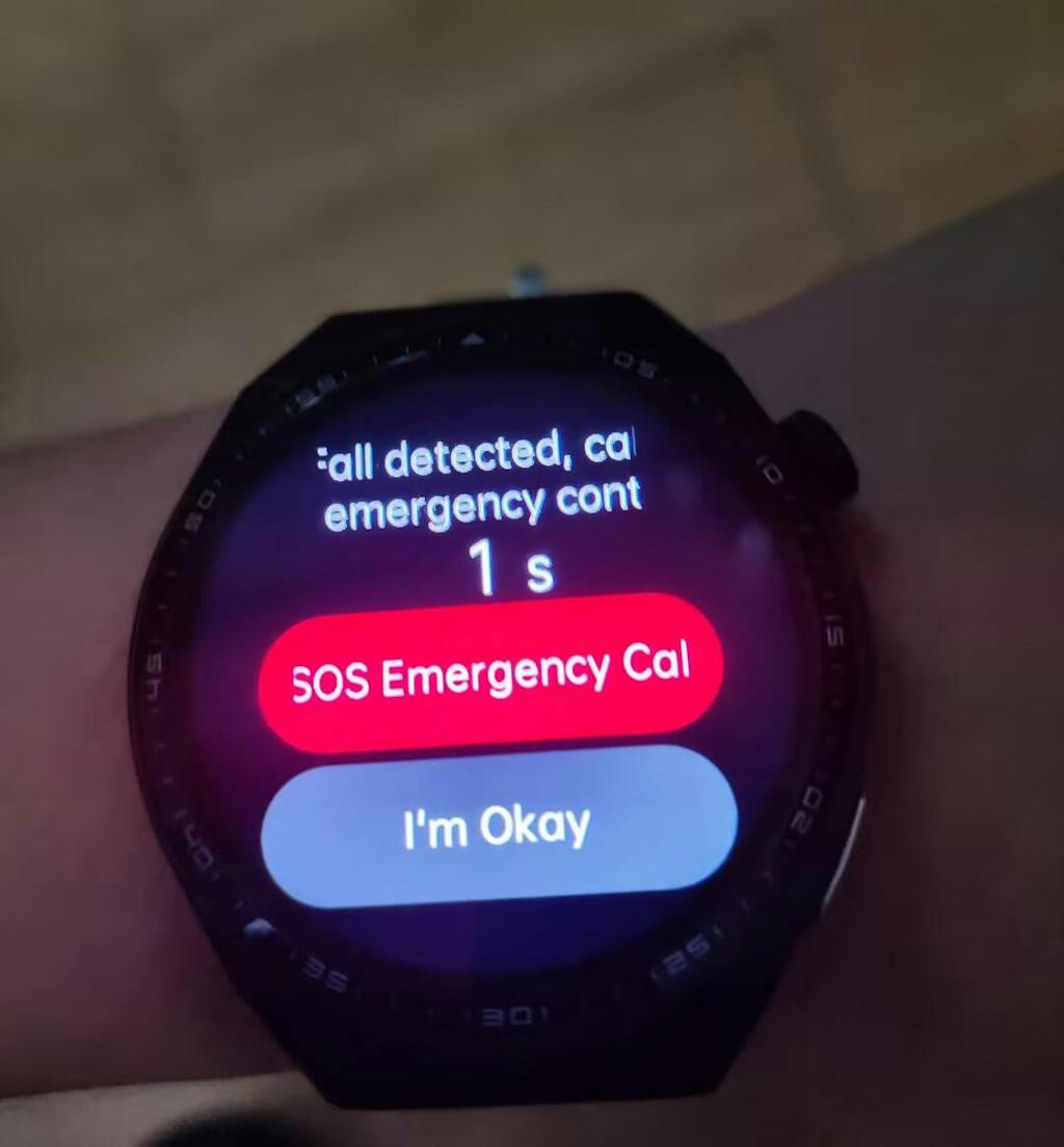 AegisFit Fall Detection Smartwatch with Advanced ECG + Blood Pressure ...