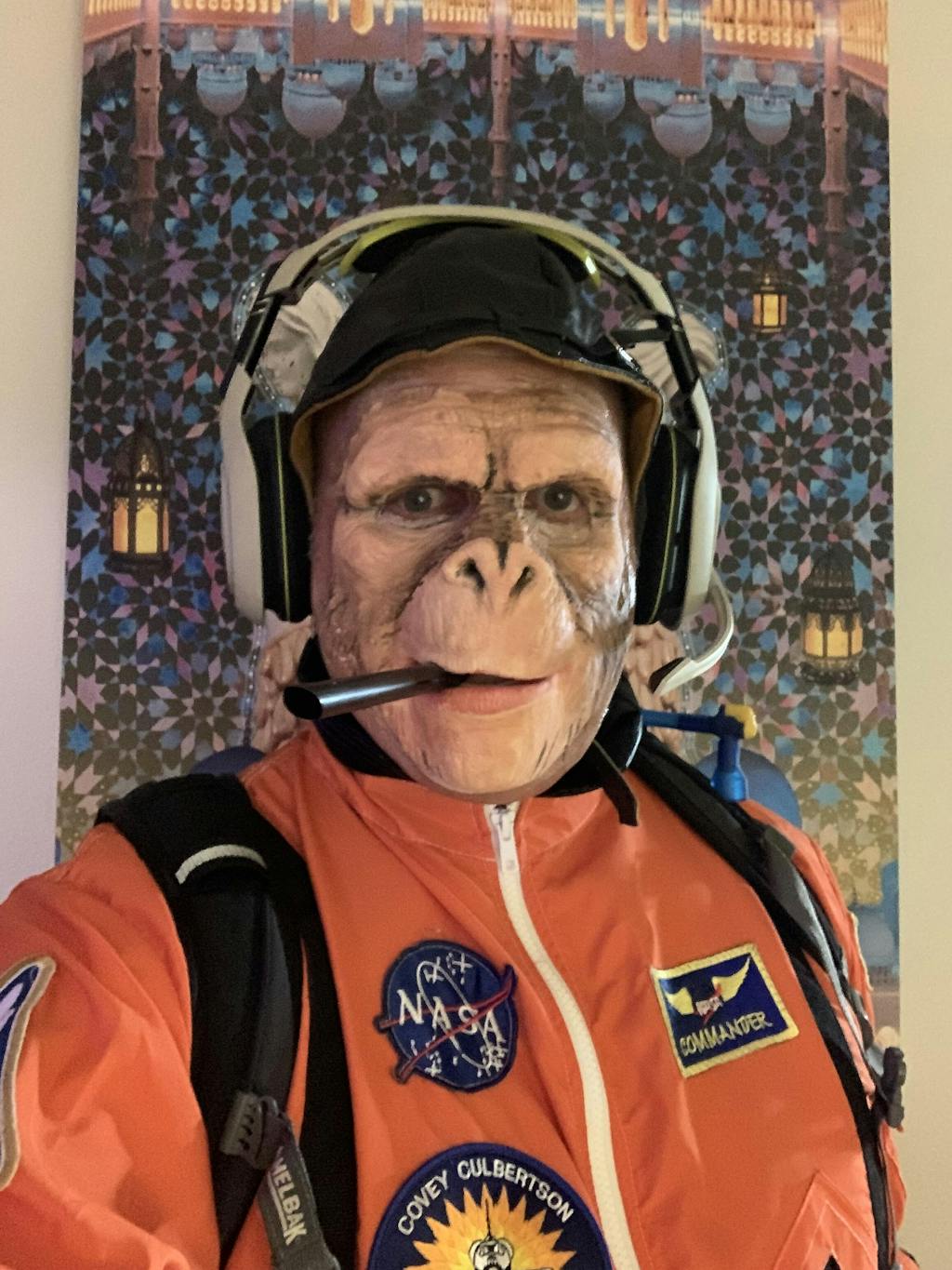 Ape Man mask prosthetic by Woochie | MostlyDead.com