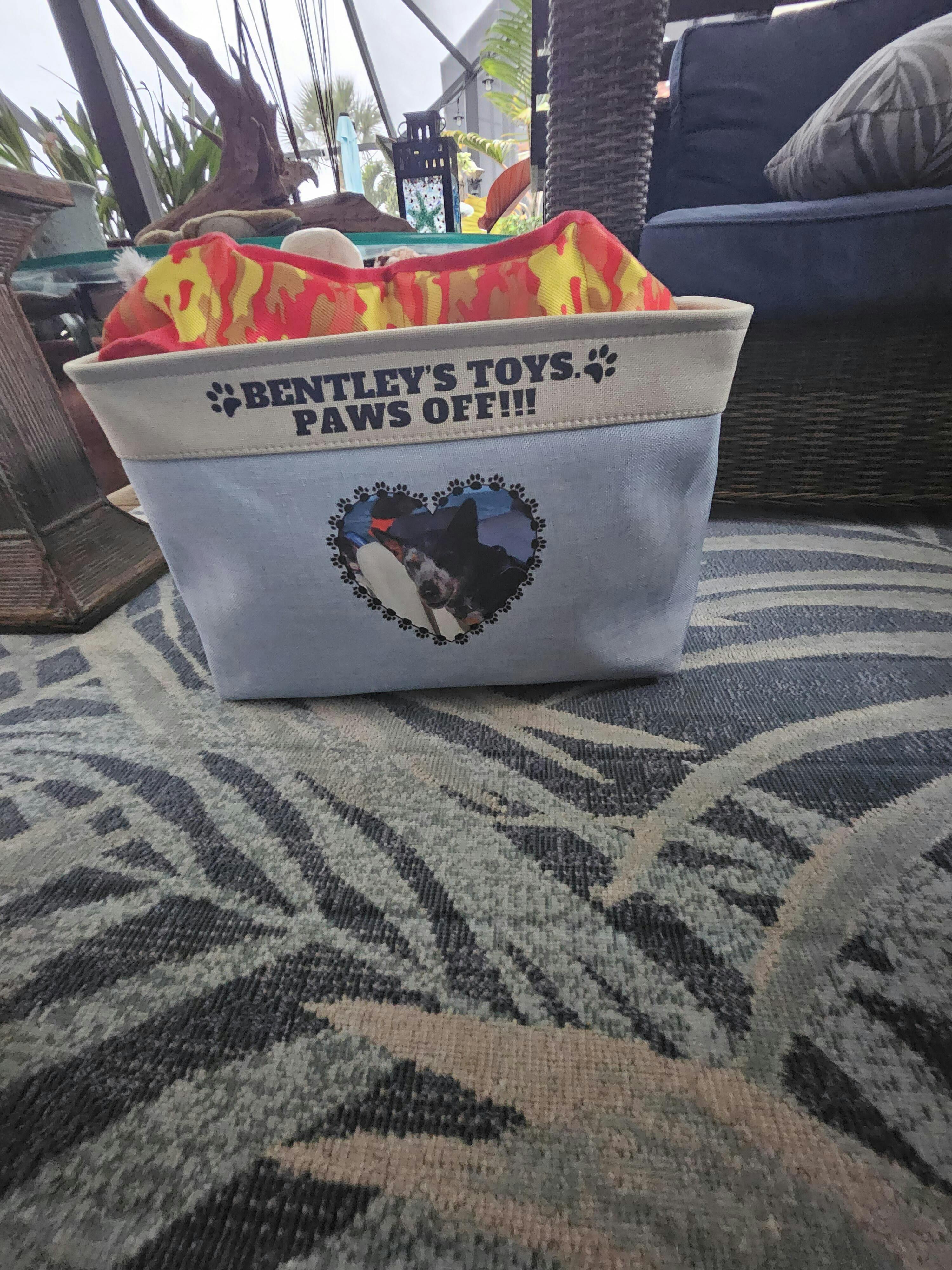 Our Happy Customers – MostlyPaws