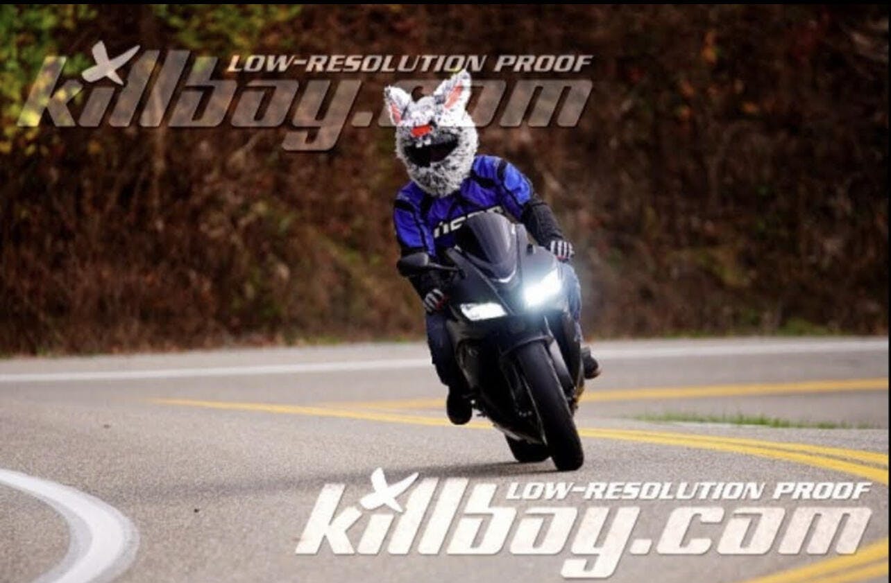 Motorcycle Helmet Cover - Evil Rabbit - Moto Loot