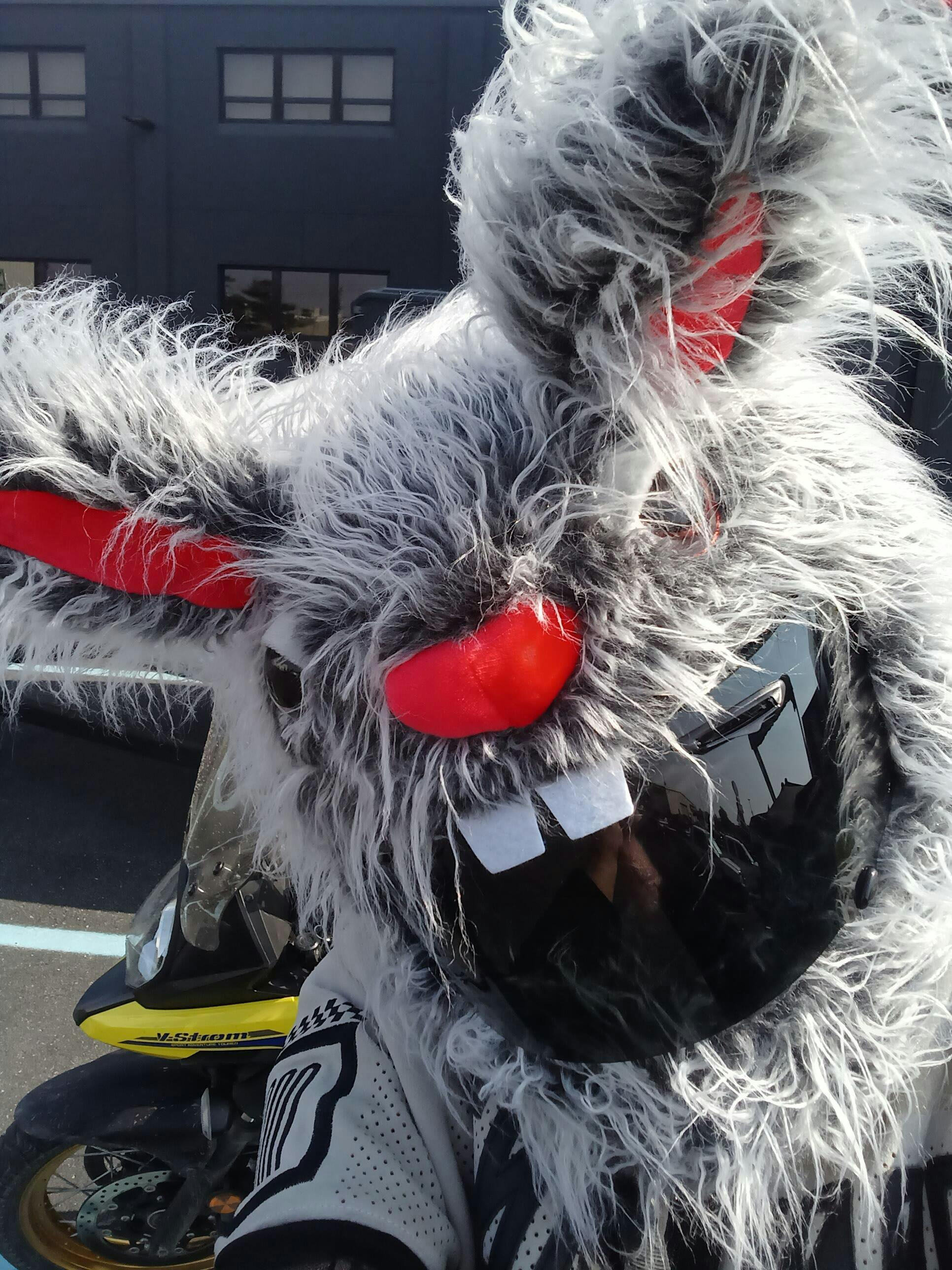 Motorcycle Helmet Cover - Evil Rabbit - Moto Loot