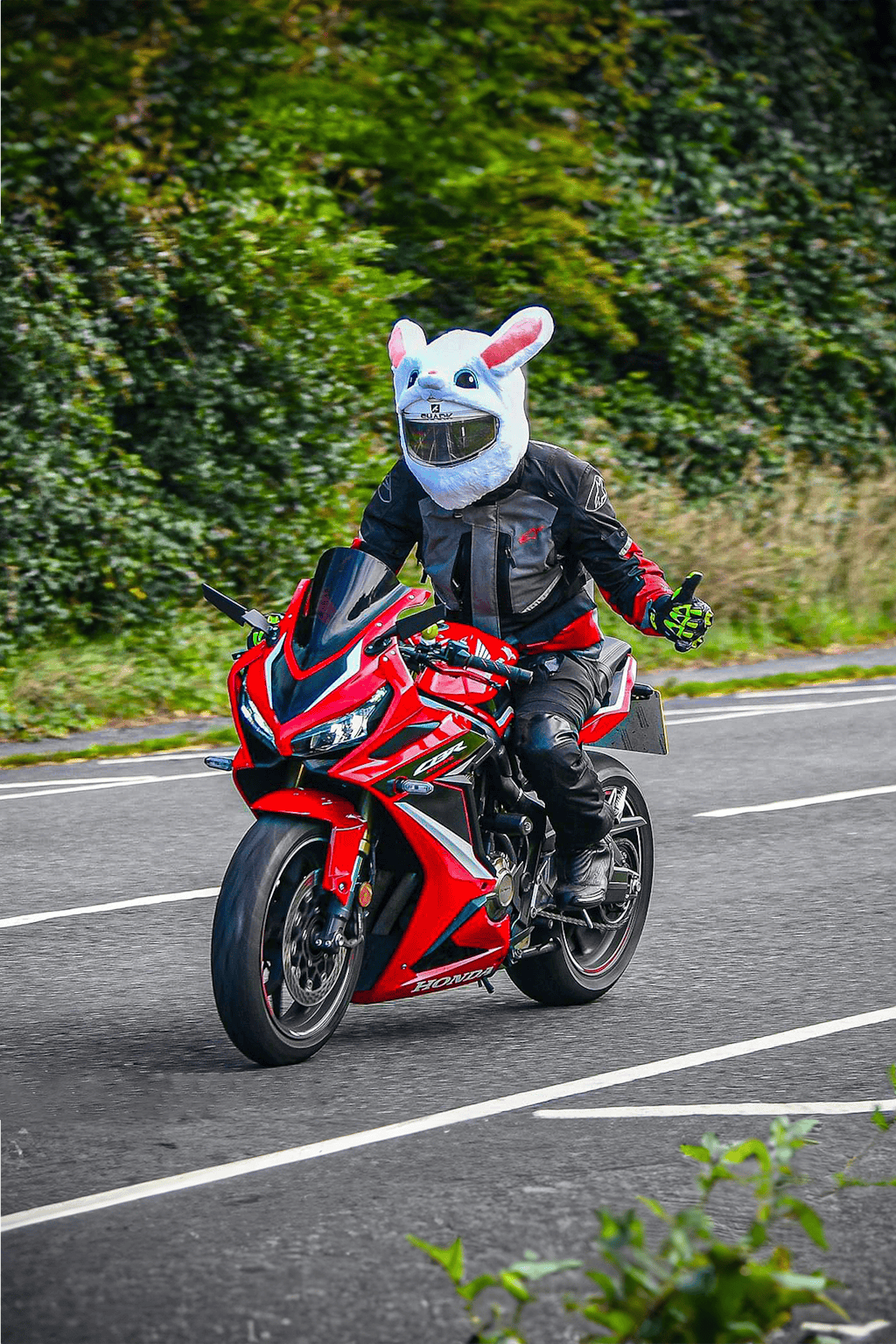 Motorcycle Helmet Cover - Bunny - Moto Loot