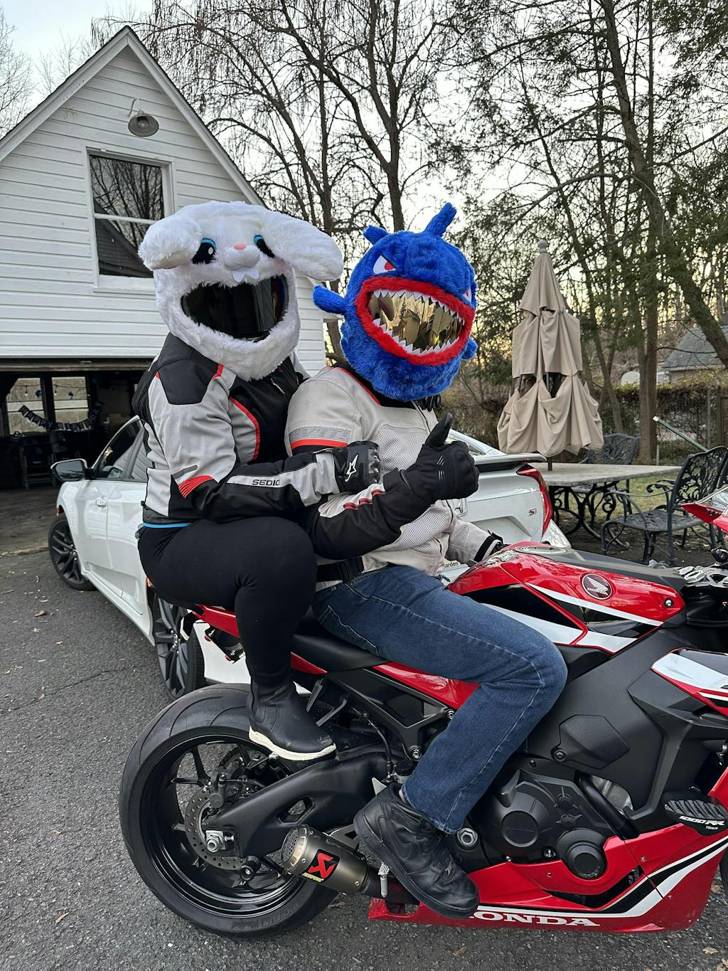 Motorcycle Helmet Cover - Bunny - Moto Loot