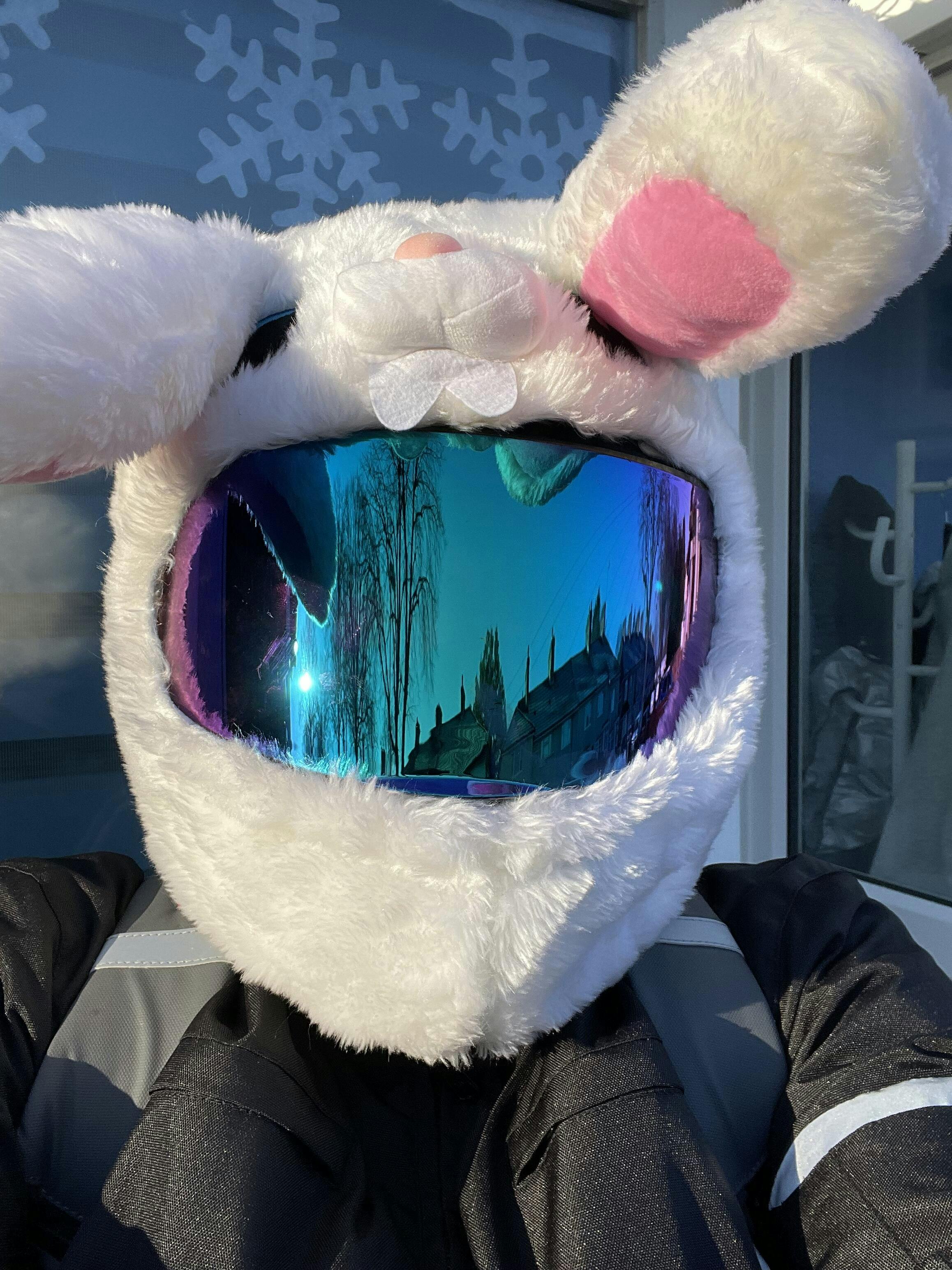 Motorcycle Helmet Cover - Bunny - Moto Loot