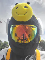 Motorcycle Helmet Cover - Bumble Bee - Moto Loot