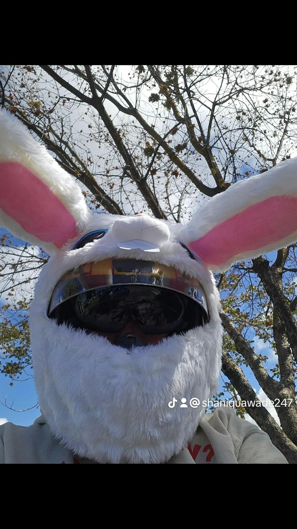 Motorcycle Helmet Cover - Bunny - Moto Loot